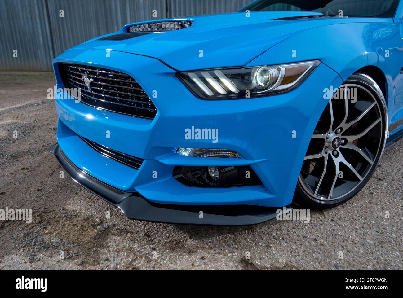Ford Mustang S550 Mach 1 5.0 sports car Stock Photo - Alamy
