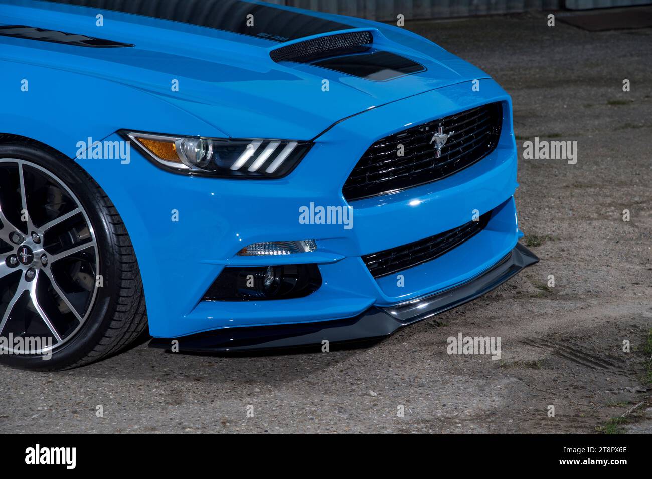 Ford Mustang S550 Mach 1 5.0 sports car Stock Photo - Alamy