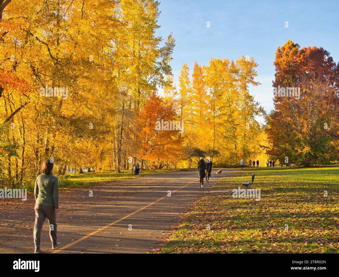 Walking path with passing figures going for a stroll on a beautiful ...