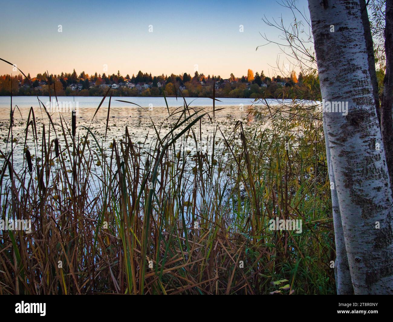 Horizon line in seattle hi-res stock photography and images - Alamy