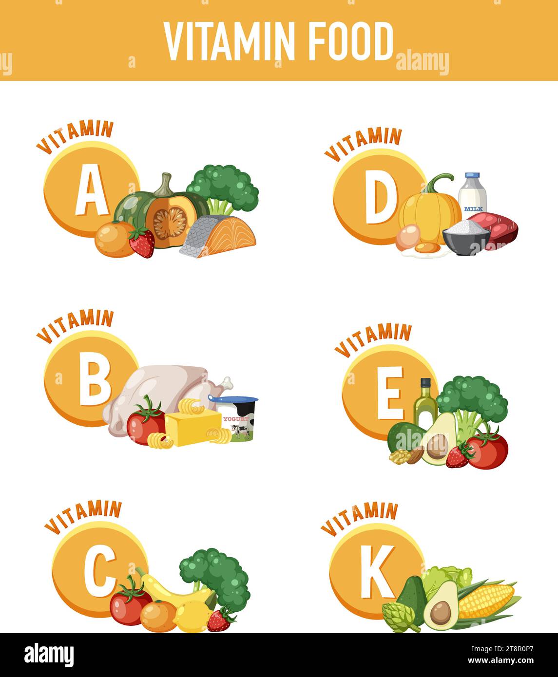 Illustration of various food types categorized by their vitamin content ...