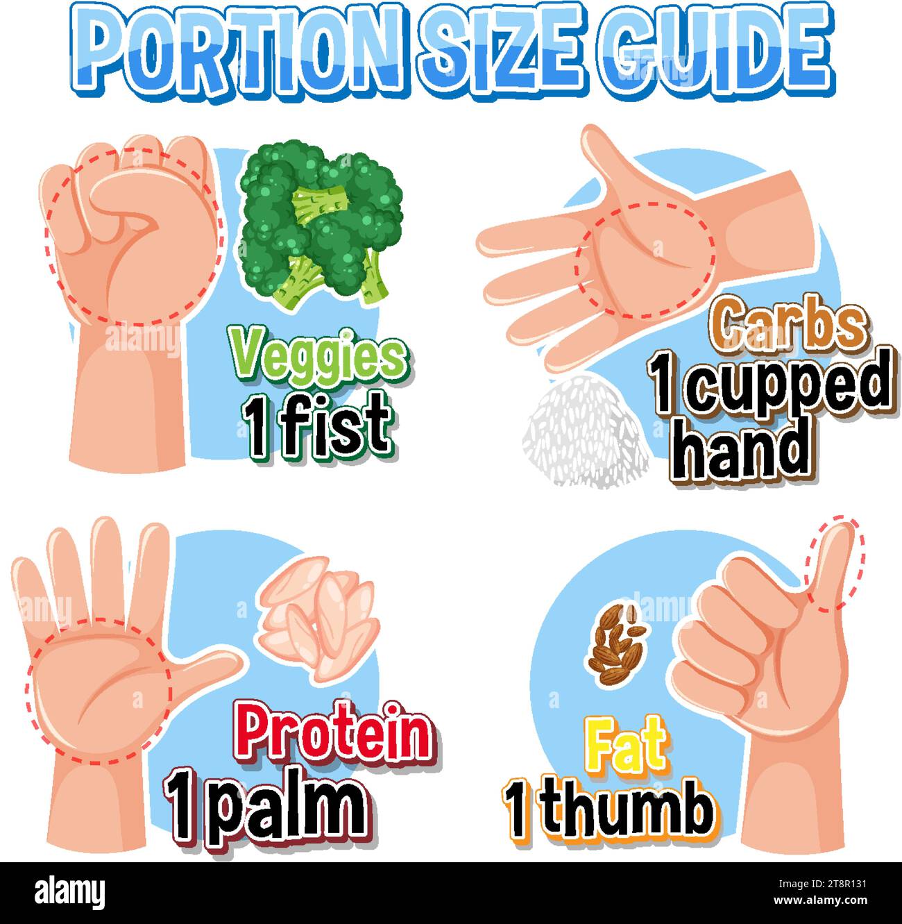 Comparing food amounts using hand portion sizes Stock Vector Image ... Comparing food amounts using hand portion sizes Stock Vector Image ...