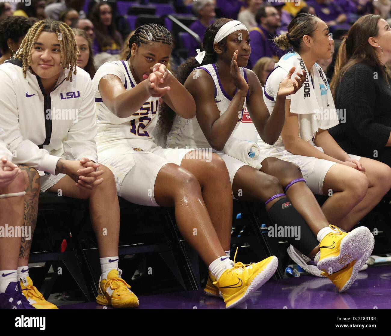 Baton Rouge, USA. 20th Nov, 2023. LSU Lady Tigers guards LSU Lady ...