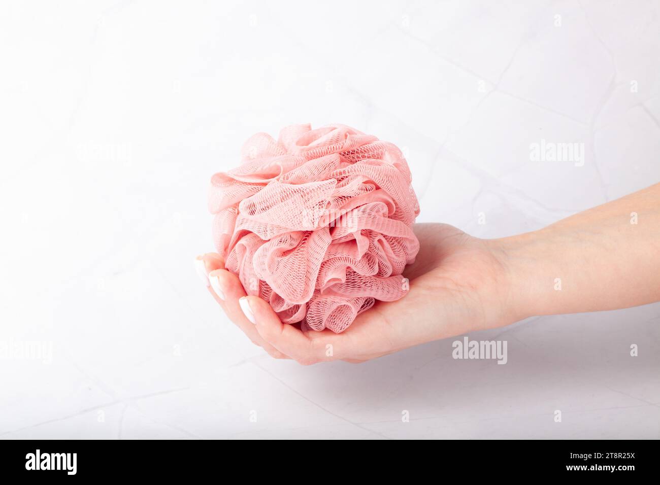 Female hand holds bath sponge Stock Photo - Alamy