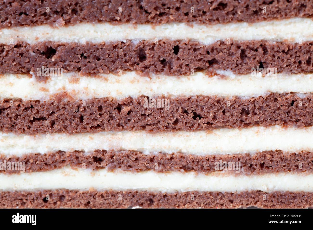 Close-up of a layered chocolate and cream cake, a tempting dessert with ...