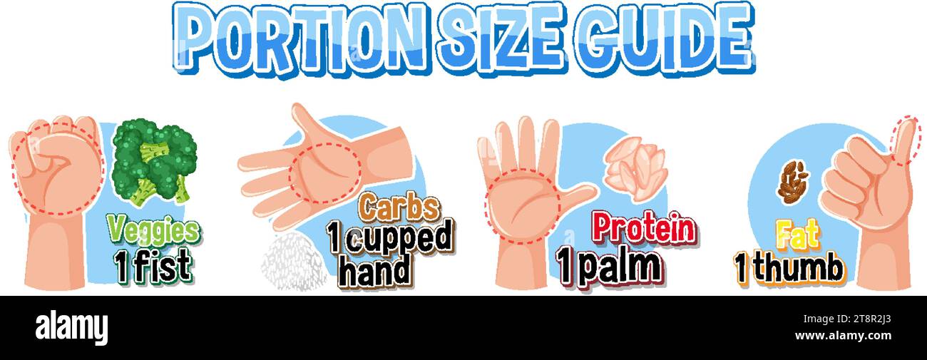 Comparing food amounts using hand portion size guide Stock Vector Image ...