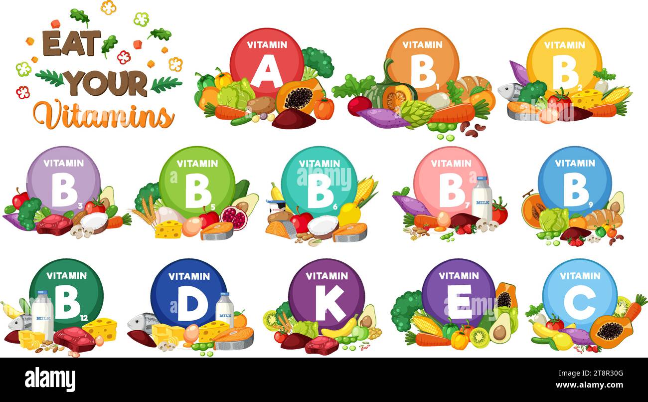 Illustration showcasing different food groups categorized by their ...