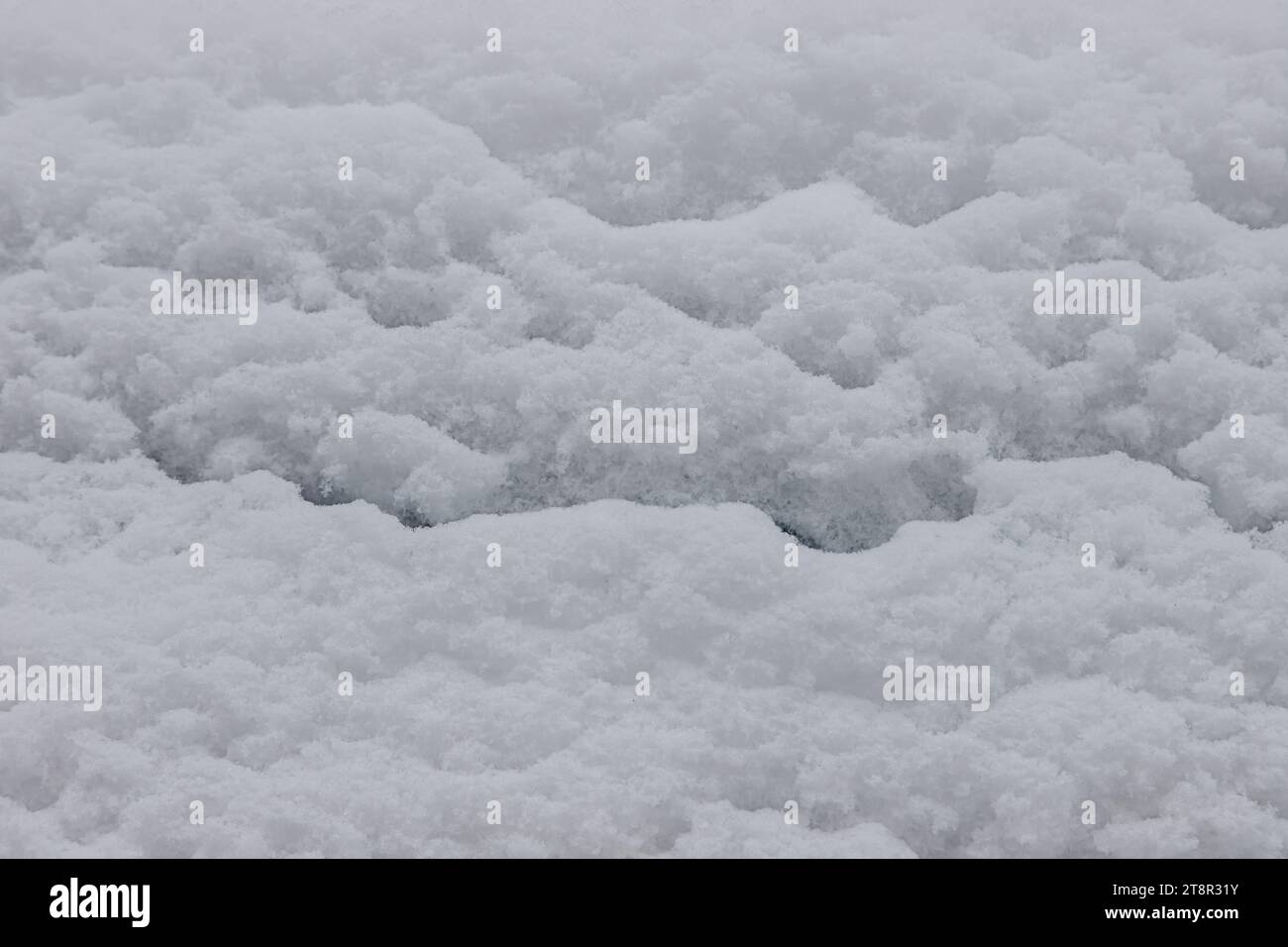 Beautiful winter background with snowy ground. Natural snow texture ...