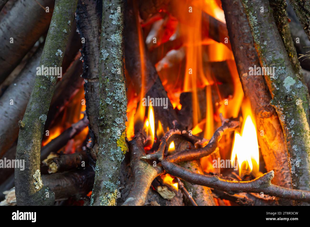 Campfire in the spring forest. Rest on the weekend. Danger of forest ...
