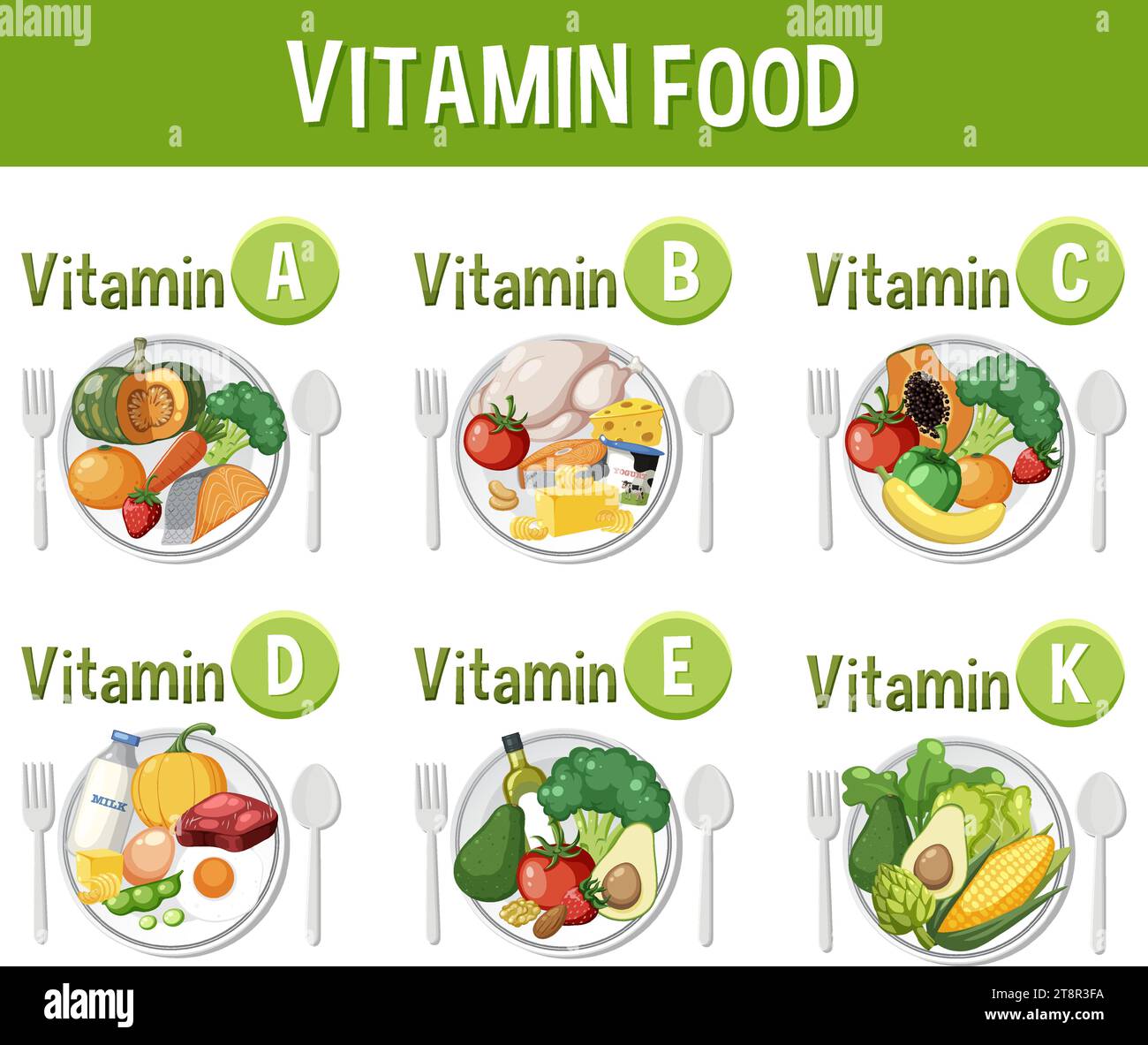 Illustration of various food types categorized by their vitamin content ...