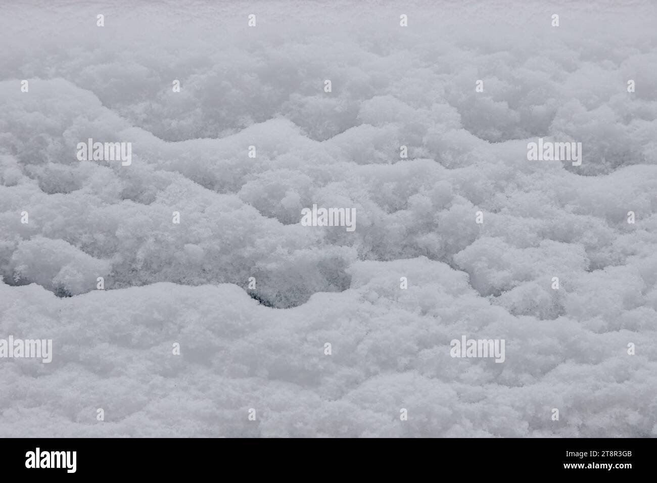 Beautiful winter background with snowy ground. Natural snow texture ...