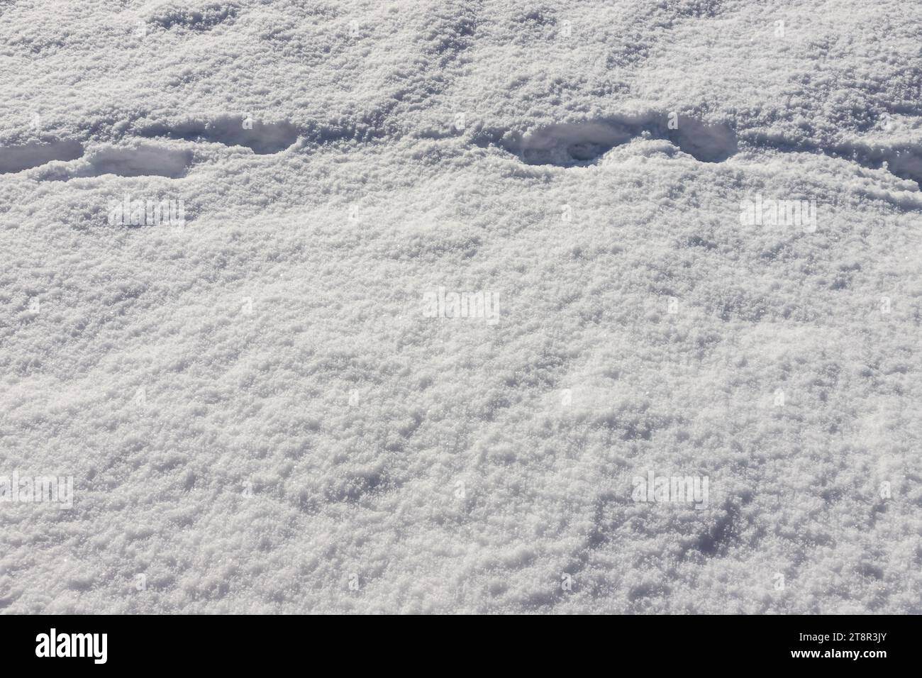 Beautiful winter background with snowy ground. Natural snow texture ...