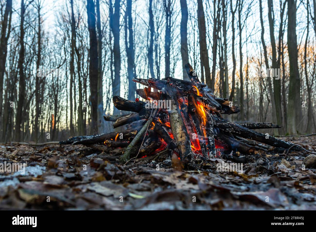 Campfire in the spring forest. Rest on the weekend. Danger of forest ...