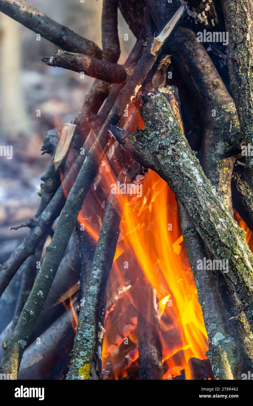 Campfire in the spring forest. Rest on the weekend. Danger of forest ...