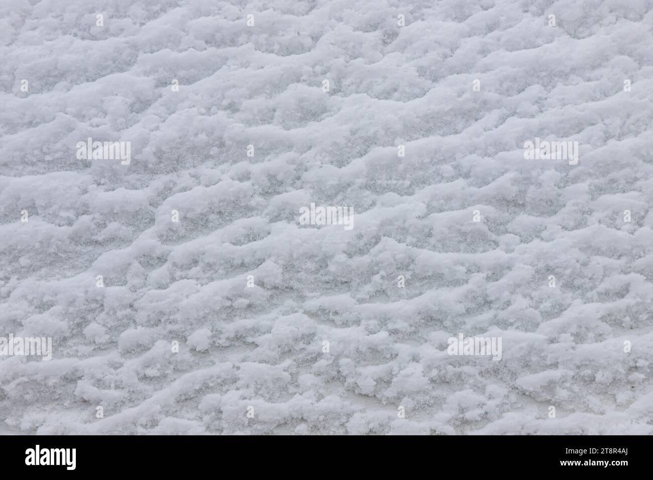 Beautiful winter background with snowy ground. Natural snow texture ...