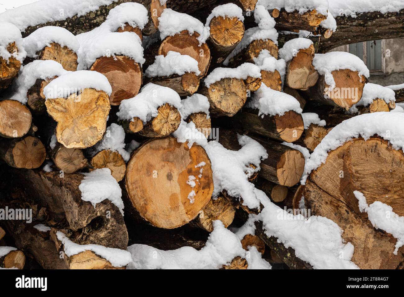 Snow covered firewood. Stack of wood cut. Snow on the timber stack ...