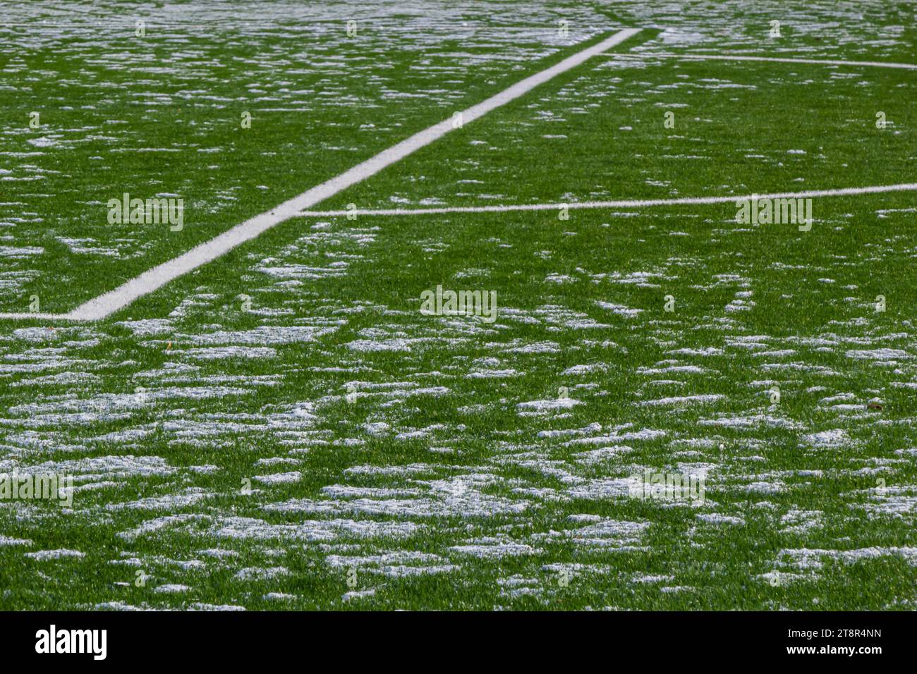 The football field with artificial green grass is covered with a light ...