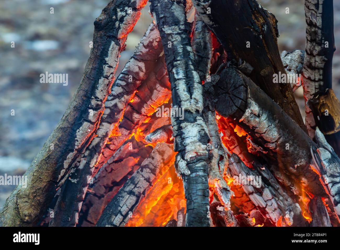 Campfire in the spring forest. Rest on the weekend. Danger of forest ...