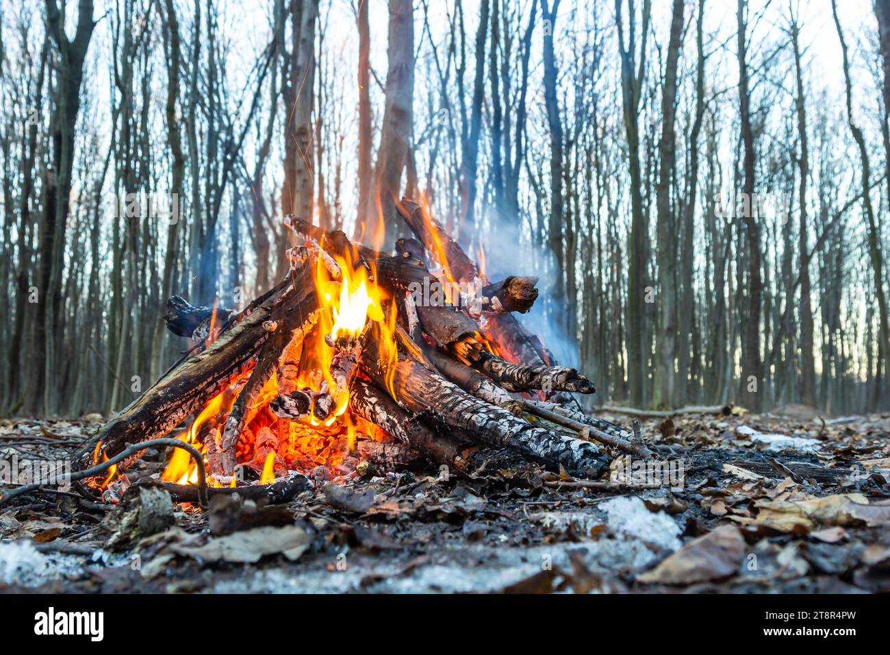 Campfire in the spring forest. Rest on the weekend. Danger of forest ...