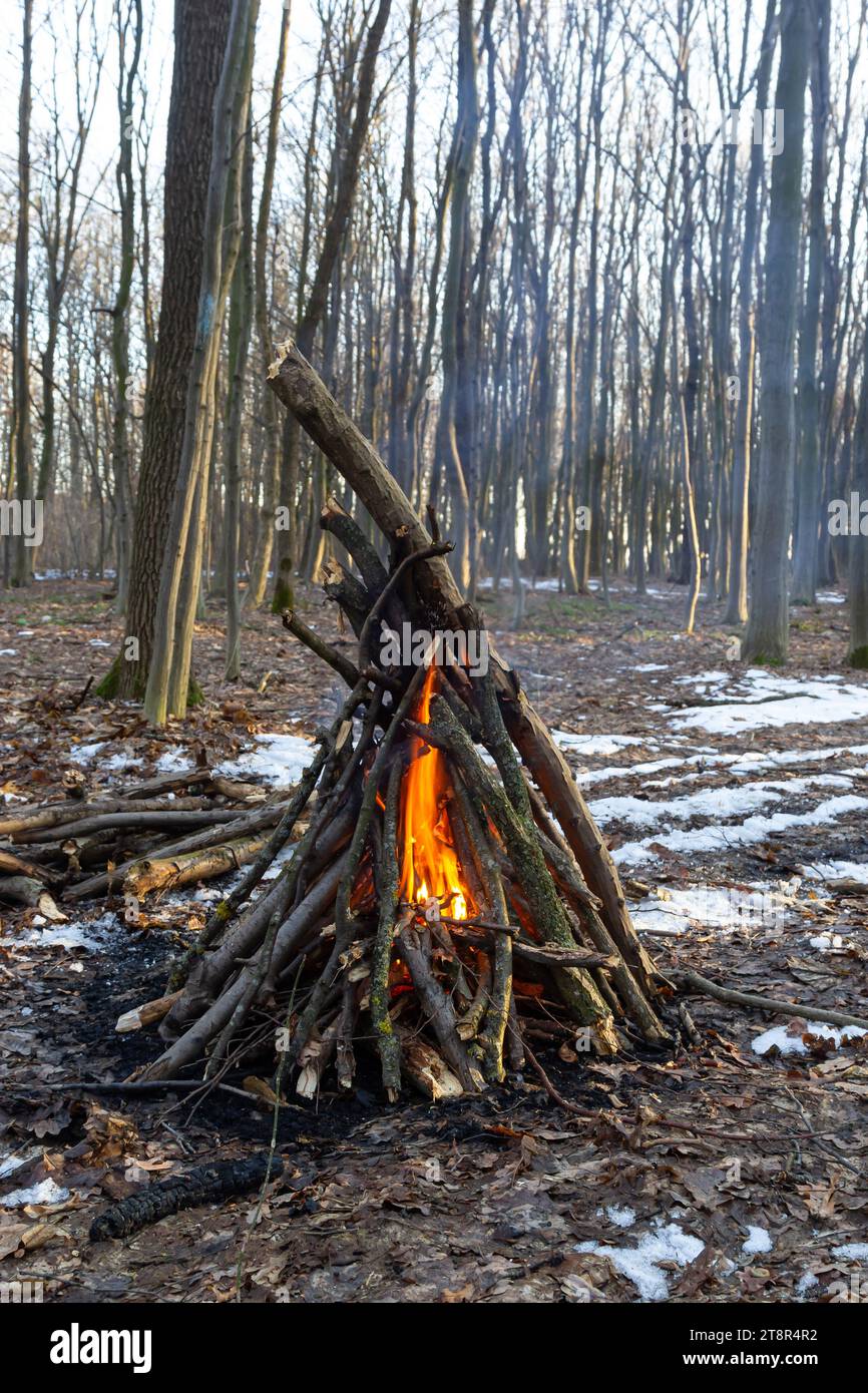 Campfire in the spring forest. Rest on the weekend. Danger of forest ...