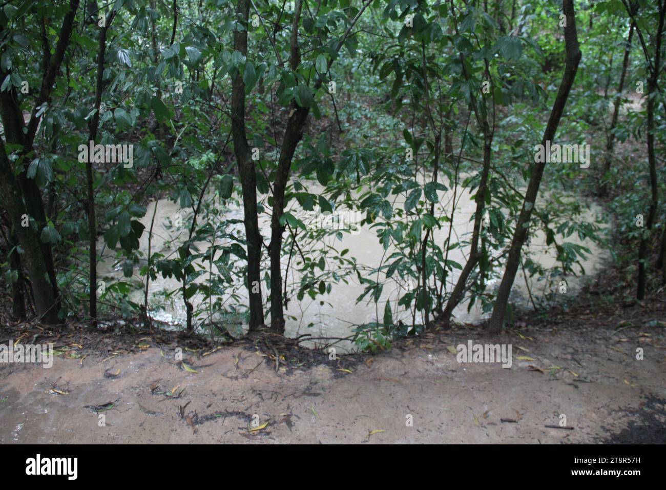 Cu Chi Viet Cong Tunnels: American Bomb Crater, Major NLF operations ...