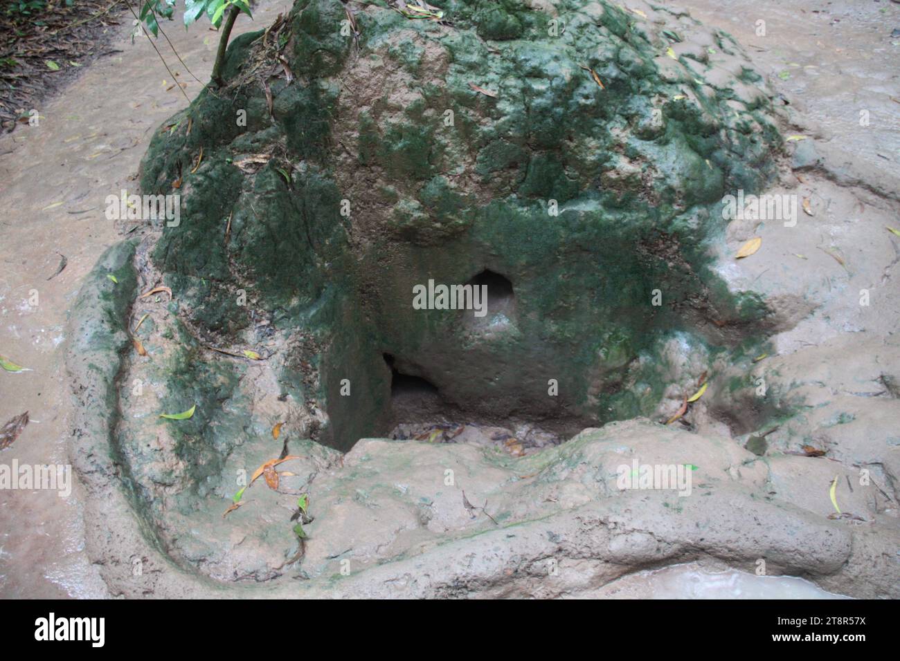 Cu Chi Viet Cong Tunnels, Major NLF operations area during American war ...