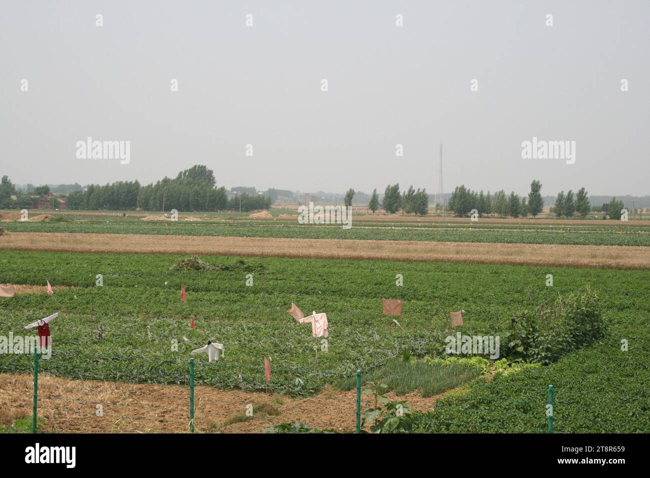 Henan countryside hi-res stock photography and images - Alamy