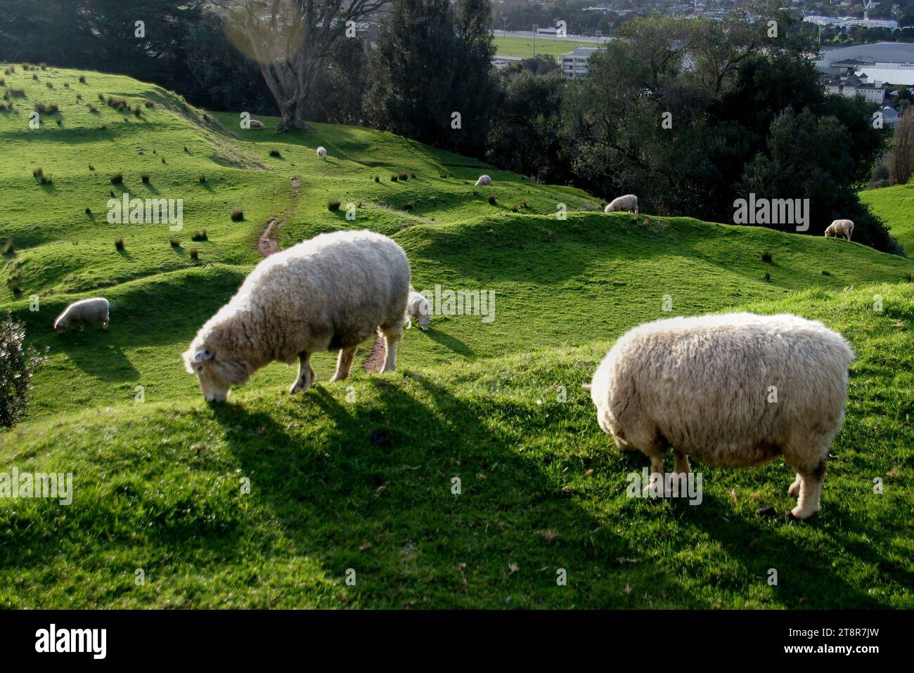 Quitely hi-res stock photography and images - Alamy