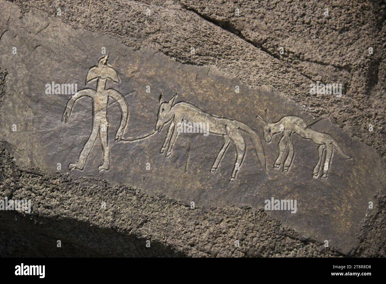 Tibetan Cliff Animal Carvings, Tibetan History Gallery, Tibet Museum ...