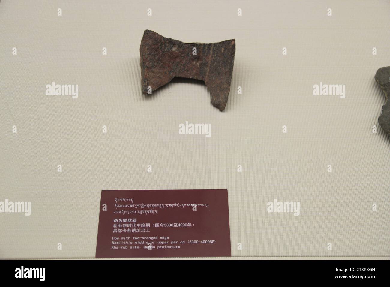 Neolithic Stone Hoe, Tibetan History Gallery, Tibet Museum, Lhasa Stock ...