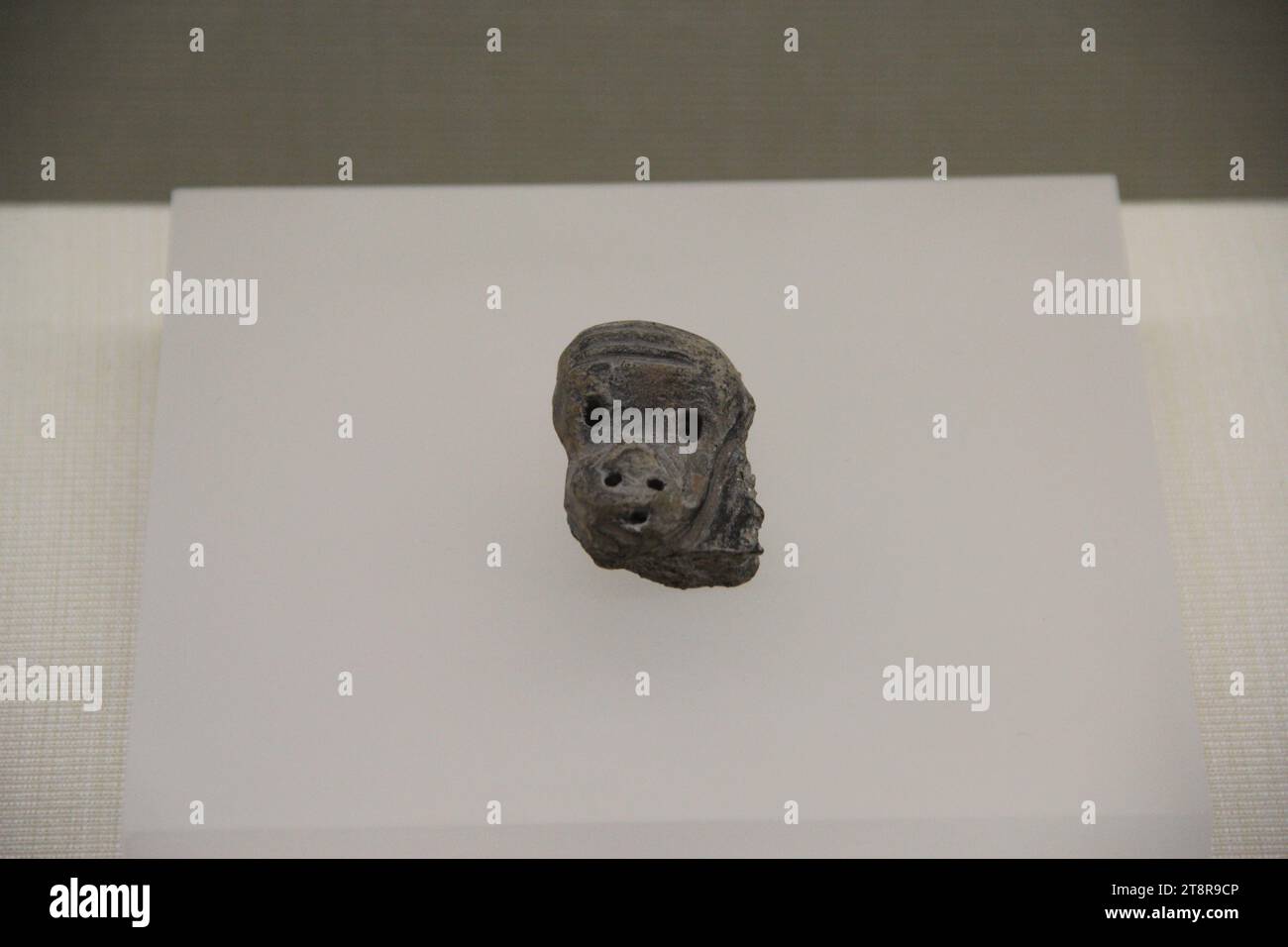 Neolithic Stone Animal Face, Tibetan History Gallery, Tibet Museum ...