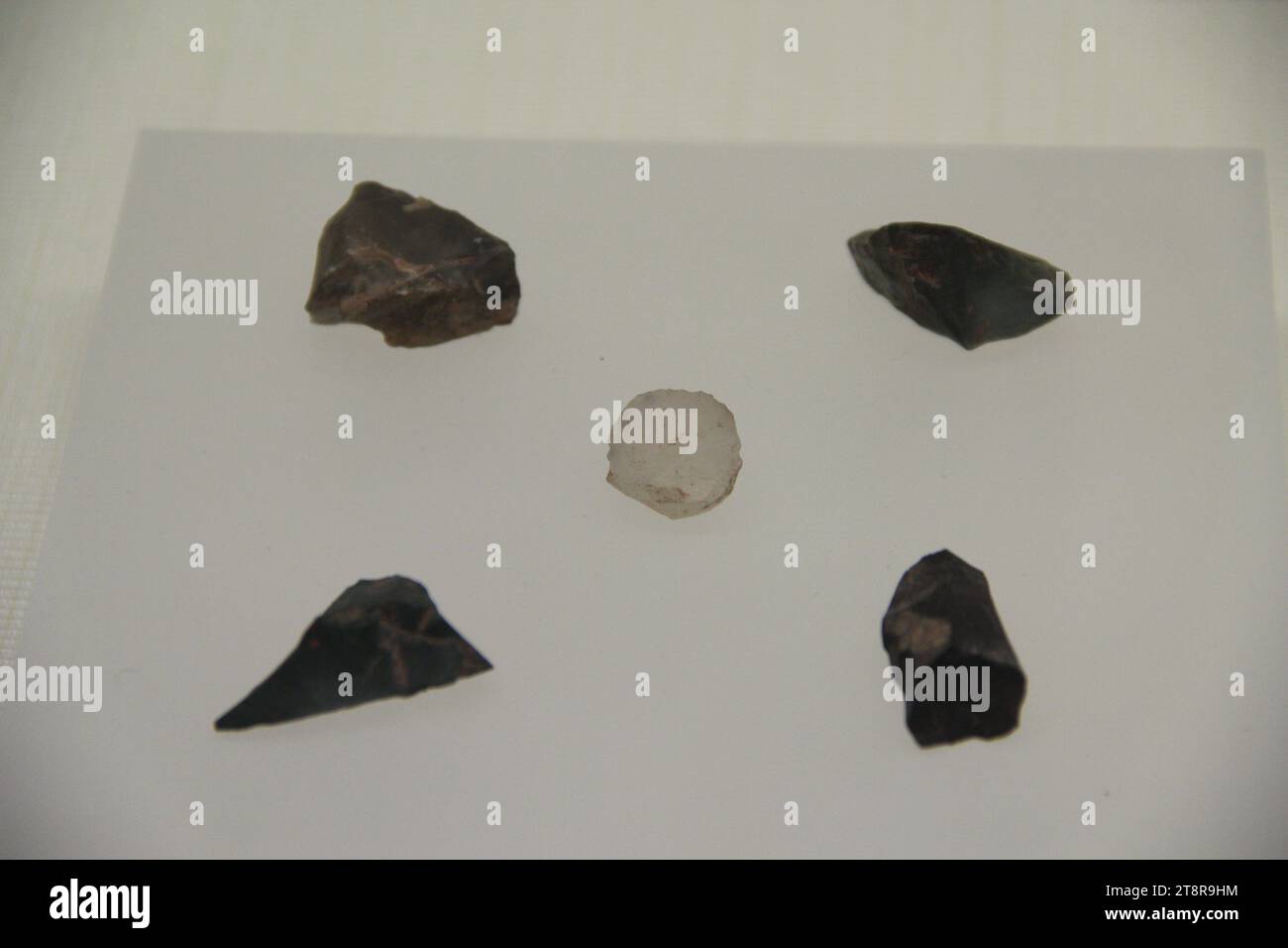 Neolithic Stone Tools, Tibetan History Gallery, Tibet Museum, Lhasa ...
