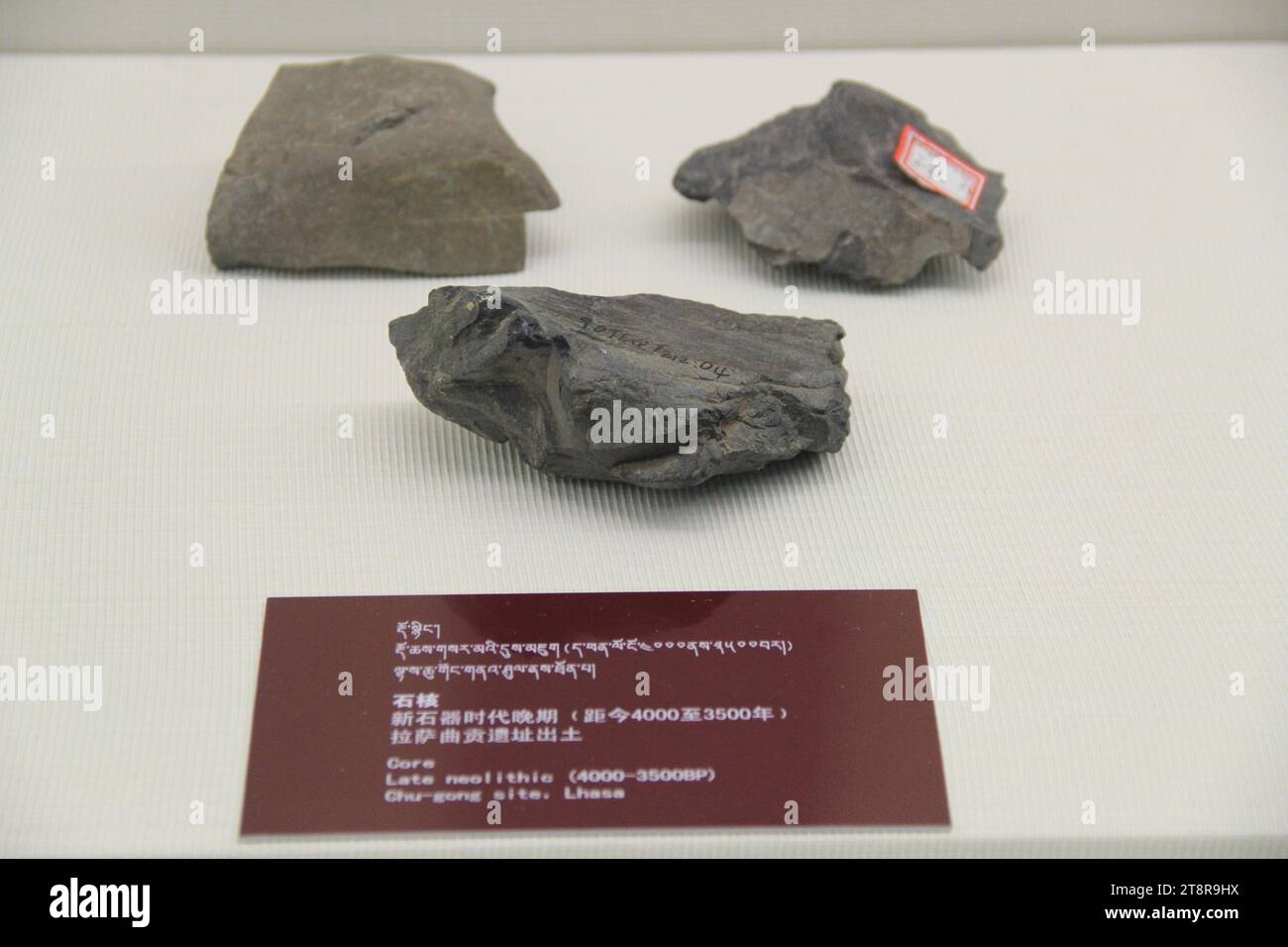 Neolithic Stone Cores, Tibetan History Gallery, Tibet Museum, Lhasa ...