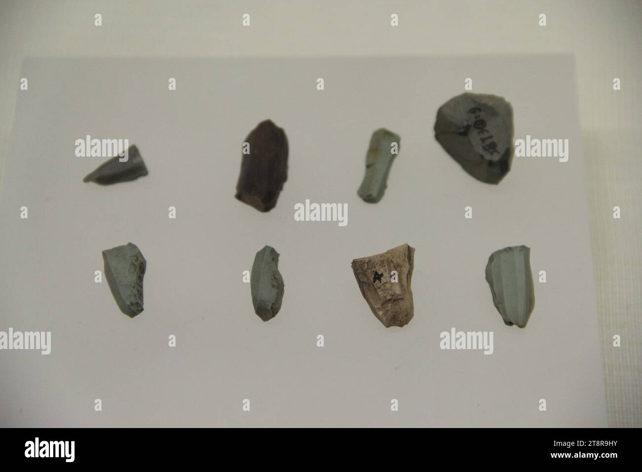 Neolithic stone cores hi-res stock photography and images - Alamy