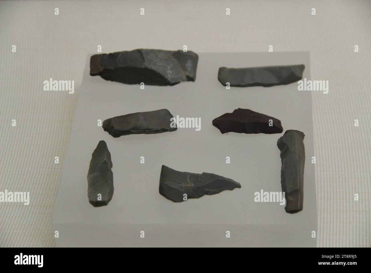 Neolithic Stone Flakes, Tibetan History Gallery, Tibet Museum, Lhasa ...