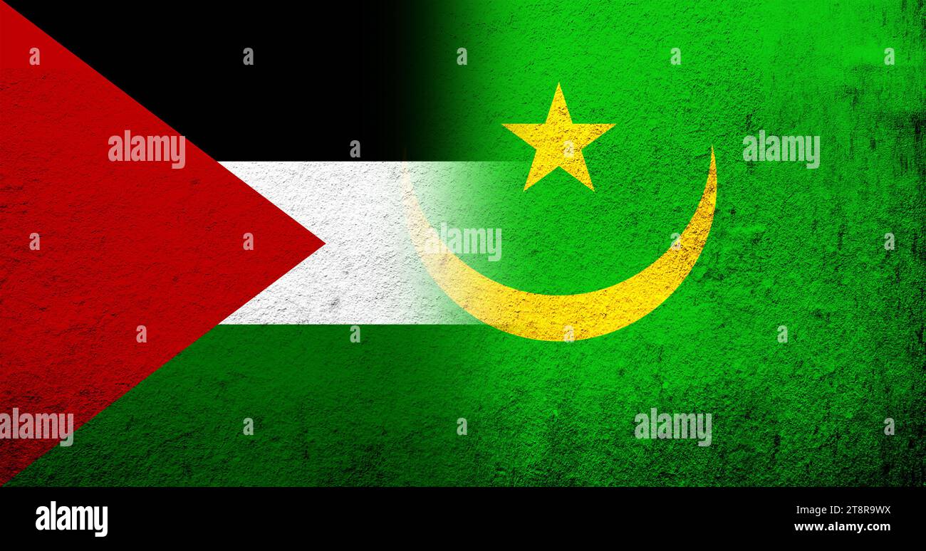Flag of Palestine and the Islamic Republic of Mauritania National flag ...
