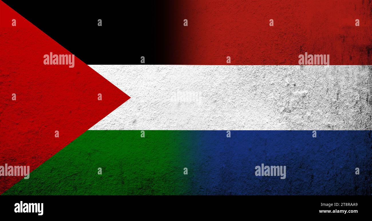 Flag of Palestine and The Kingdom of the Netherlands National flag ...