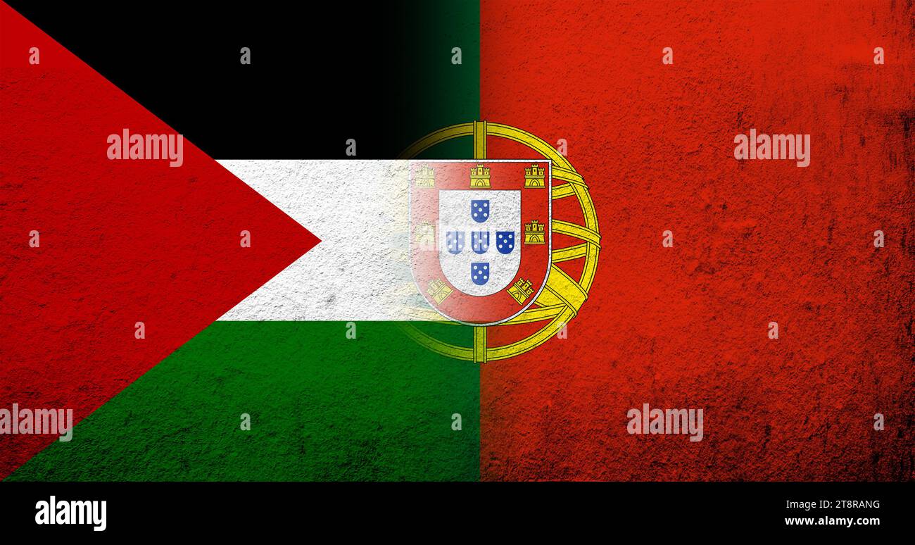 Flag of Palestine and The Portuguese Republic (Portugal) National flag ...
