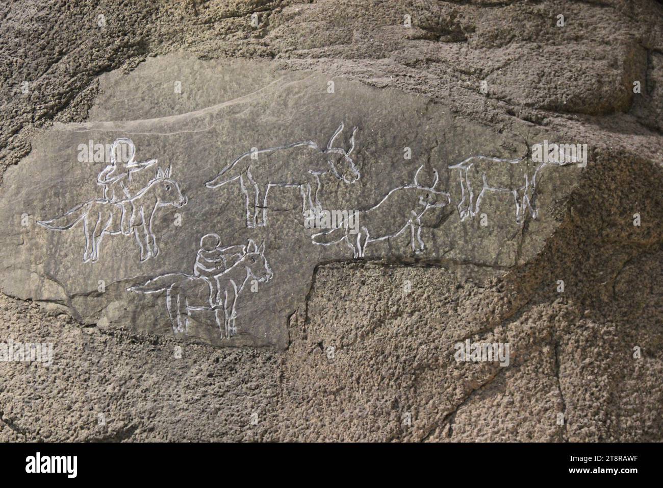 Tibetan Cliff Animal Carvings, Tibetan History Gallery, Tibet Museum ...