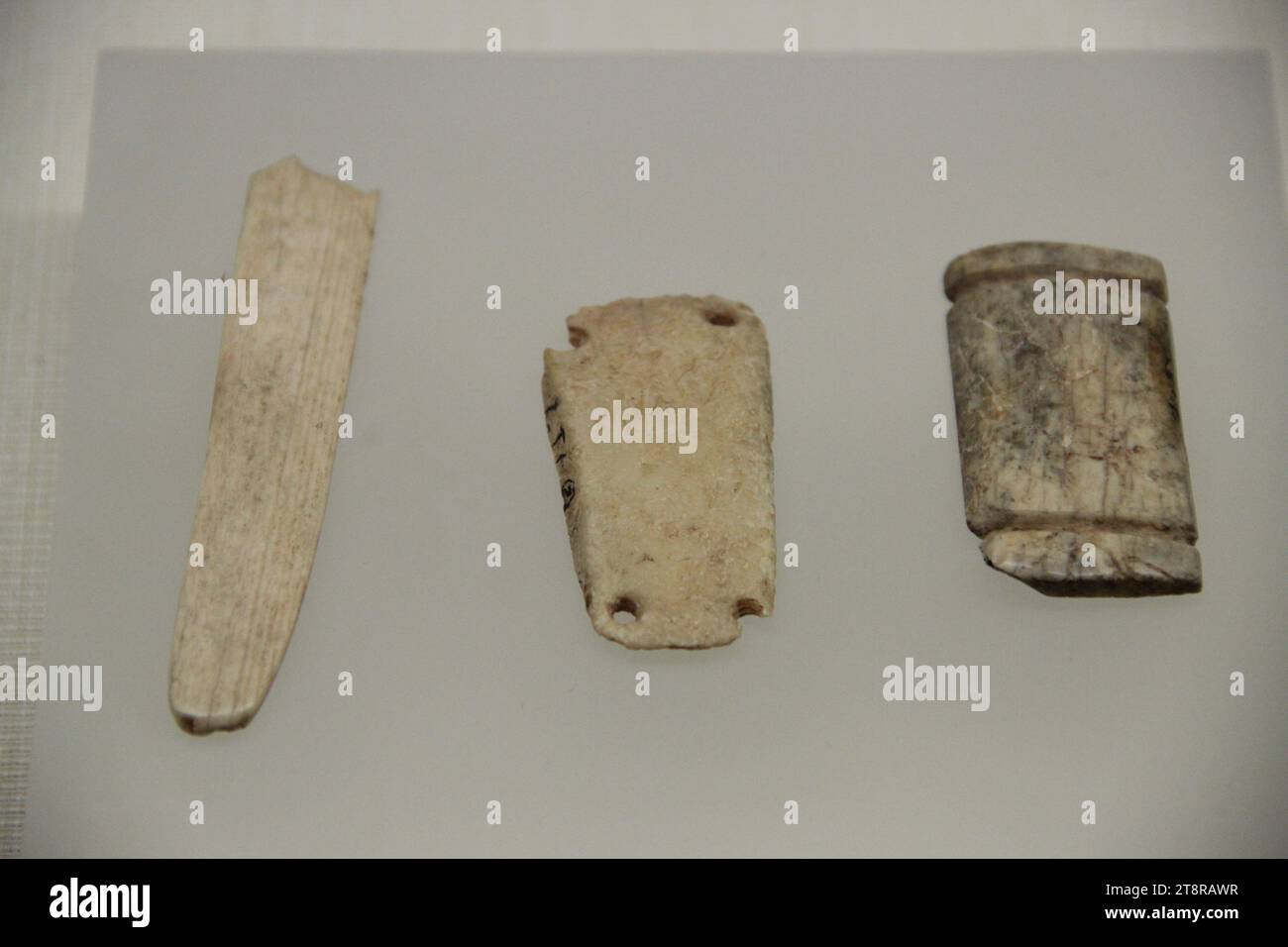 Neolithic Bone Tools, Tibetan History Gallery, Tibet Museum, Lhasa ...