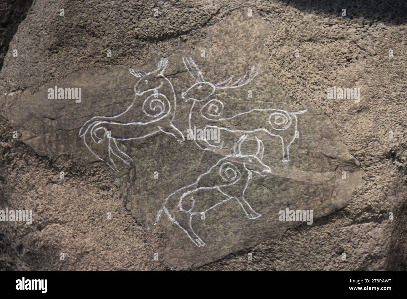 Tibetan Cliff Animal Carvings, Tibetan History Gallery, Tibet Museum ...