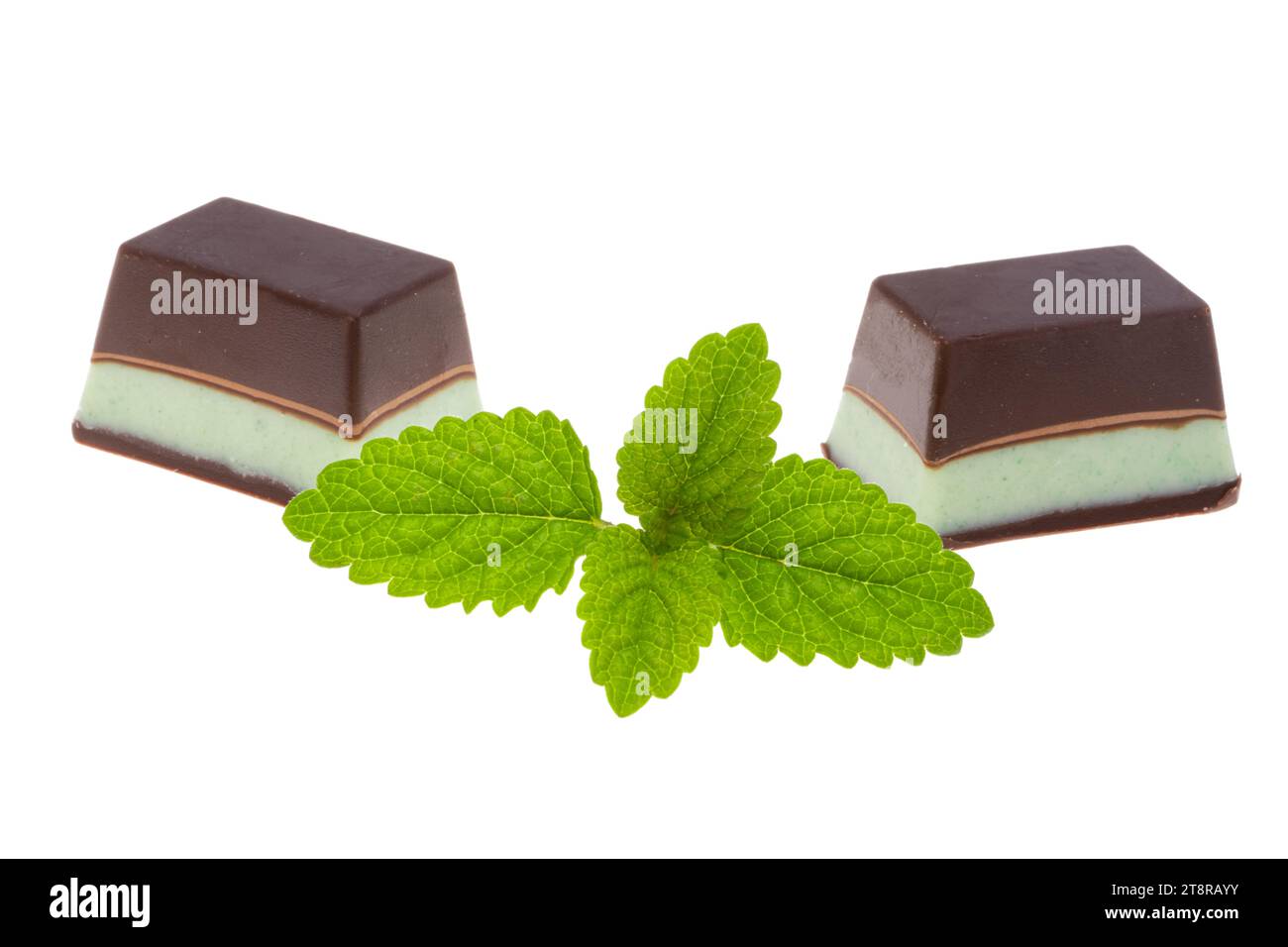 chocolate dark peppermint isolated on white background Stock Photo - Alamy