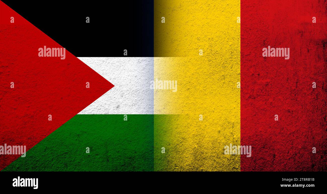 Flag of Palestine and The Republic of Chad National flag. Grunge ...