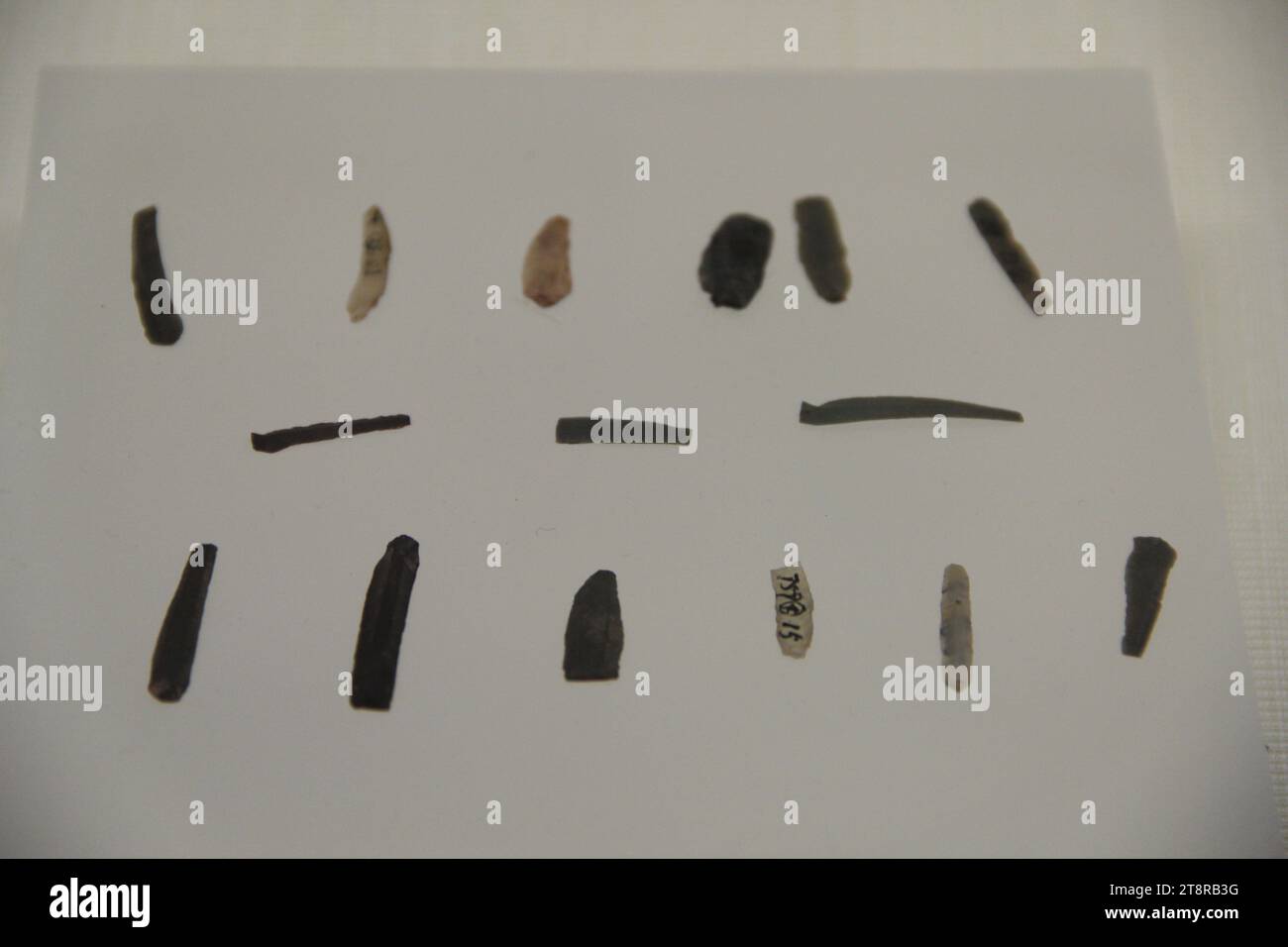 Neolithic Stone Microblades, Tibetan History Gallery, Tibet Museum ...