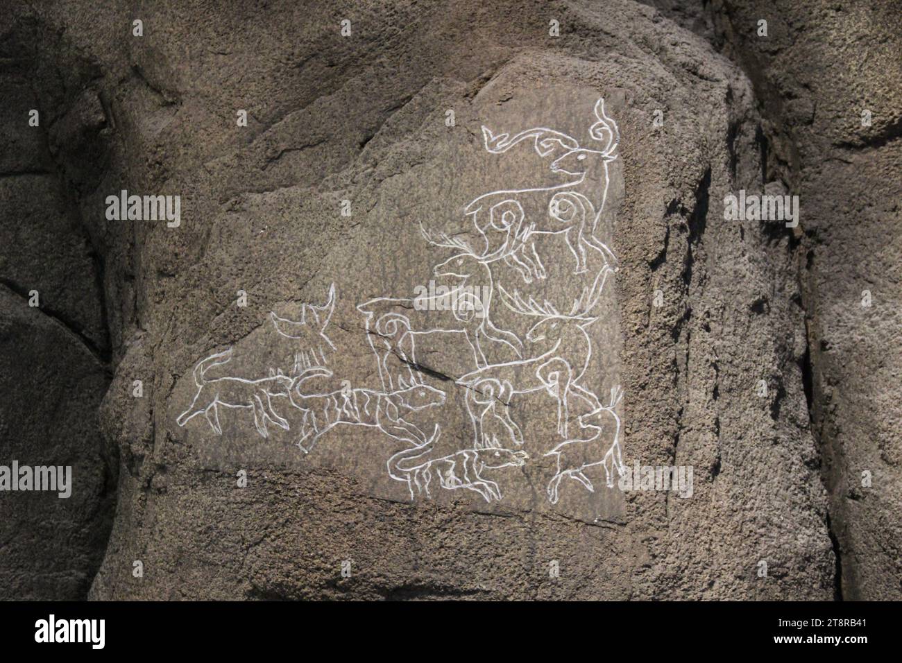 Tibetan Cliff Animal Carvings, Tibetan History Gallery, Tibet Museum ...