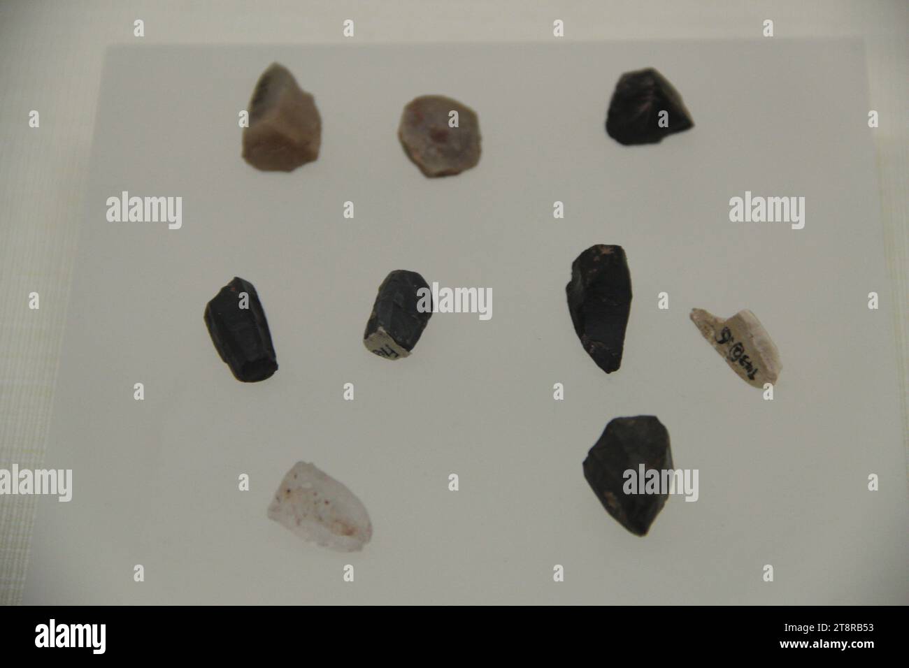 Neolithic Stone Cores, Tibetan History Gallery, Tibet Museum, Lhasa ...