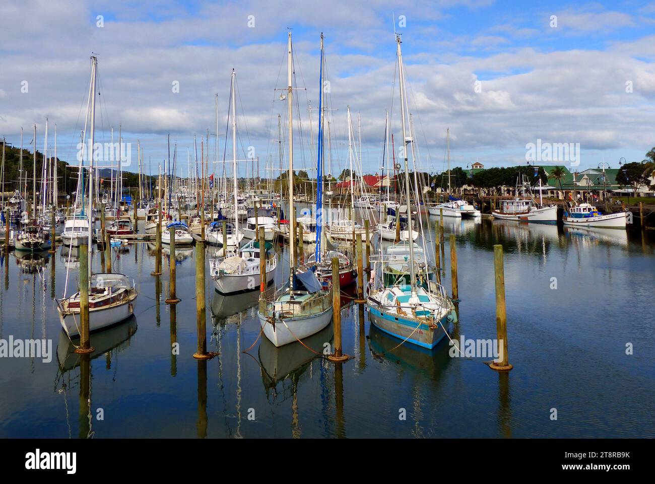 Boat Marina Whangarei. NZ, Sail in Stock Photo - Alamy