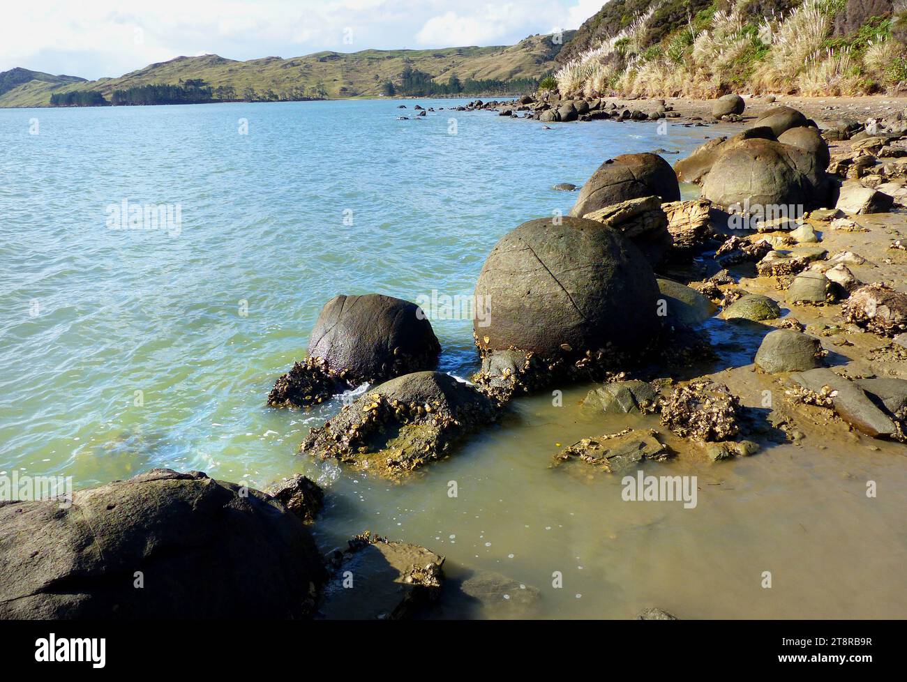 Koutu boulders nz hi-res stock photography and images - Alamy