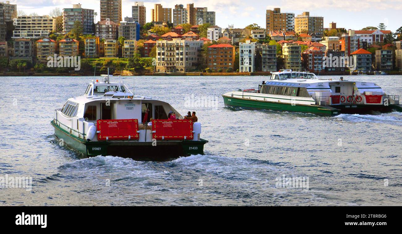 RiverCats Sydney Harbour, The Sydney RiverCats are a class of ...