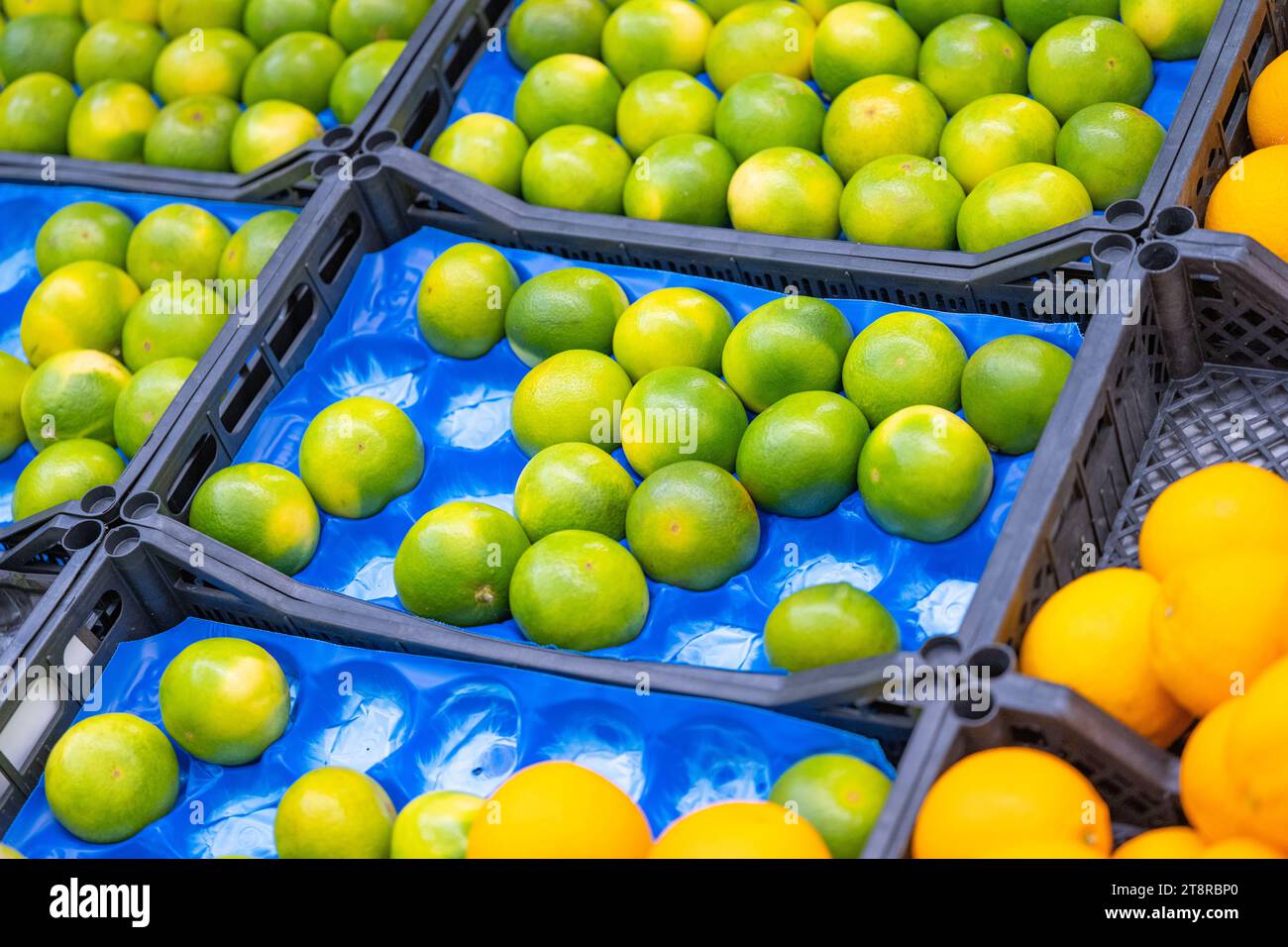 citrus fruits in the store Stock Photo - Alamy